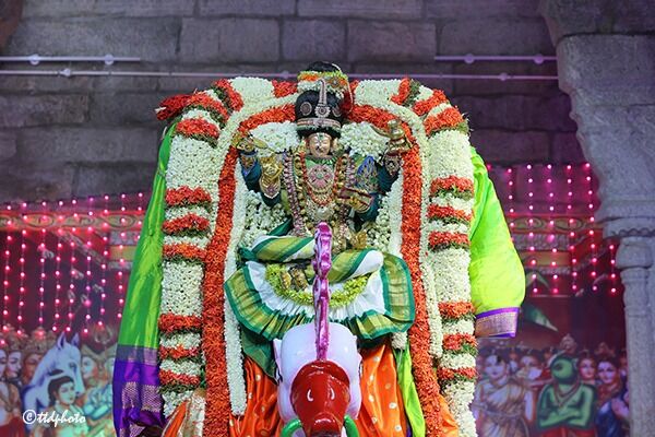 Sri Kalyana Venkateswara Swamy: హంసవాహనంపై సరస్వతీ స్వరూపుడిగా శ్రీ ...